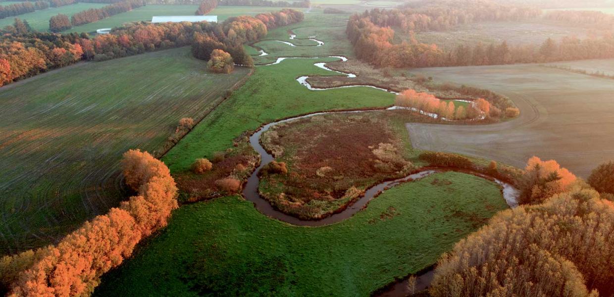Skjern Å (River Skjern) | VisitHerning